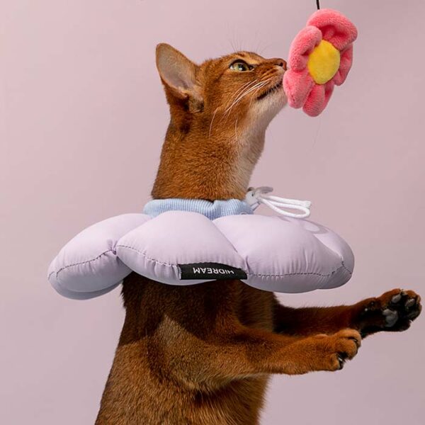 HiDream Soft & Comfortable Cat Cones