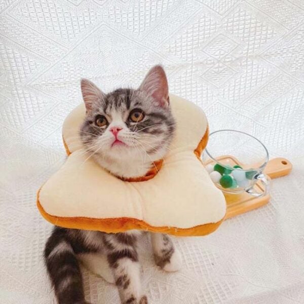 Soft & Cute Toast Cone for Cats and Kittens