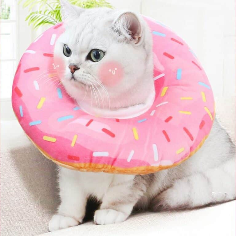 HiDream Cat Cone: Soft & Comfortable Alternative To Plastic Vet E-Collar