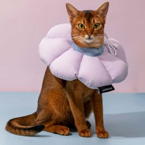 HiDream Soft & Comfortable Cat Cones