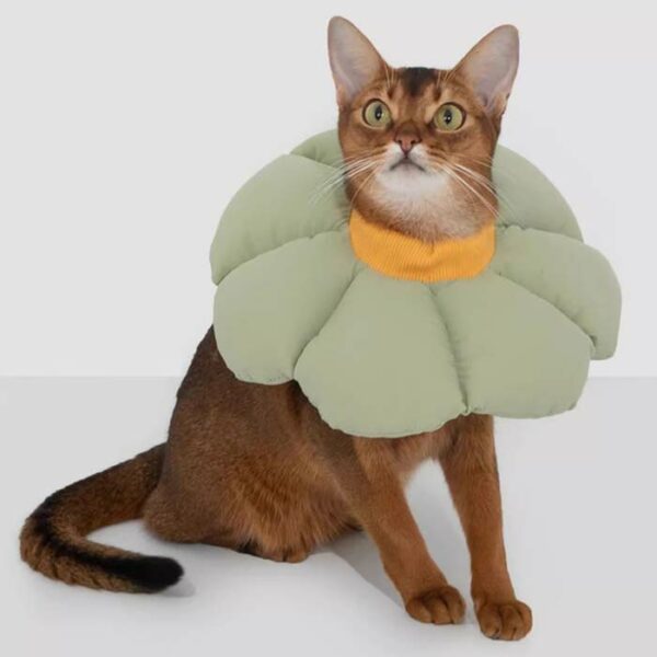 HiDream Soft & Comfortable Cat Cones