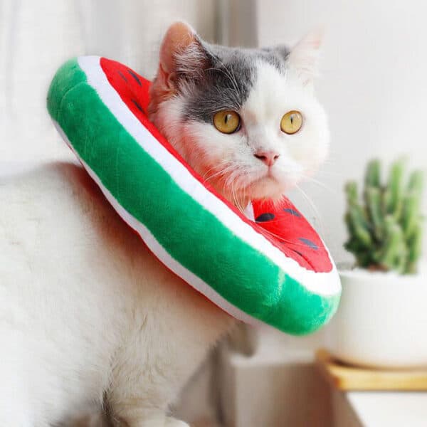 Cute Fruit Pattern Cat Neck Cone