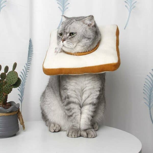 Soft & Cute Toast Cone for Cats and Kittens