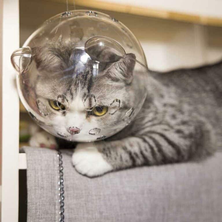Cat Muzzle Ball For Grooming, Meowing Or Biting