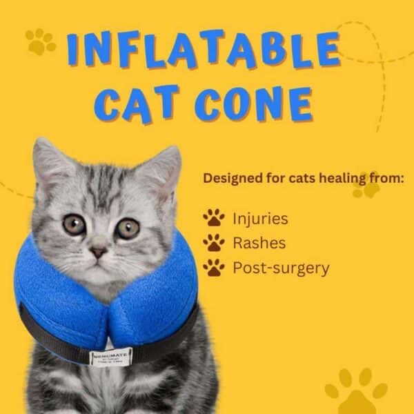 Inflatable Cat Donut Cone & Blow Up Elizabethan Collar