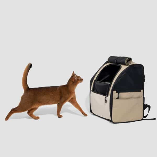 Hidream Collapsible Cat & Dog Travel Backpack Carrier