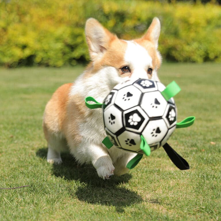 Dog Toys Soccer Ball with Straps