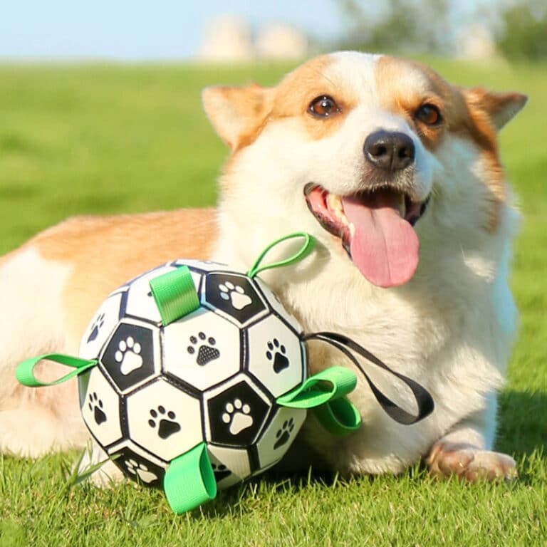 Dog Toys Soccer Ball with Straps