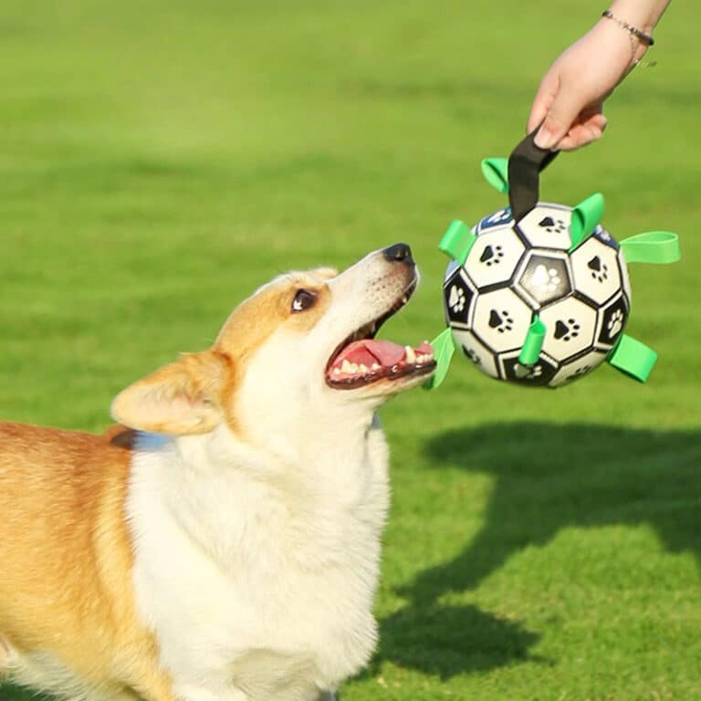 Dog Toys Soccer Ball with Straps