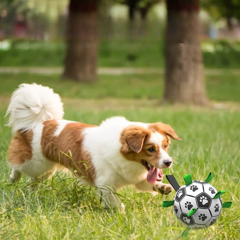 Dog Toys Soccer Ball with Straps